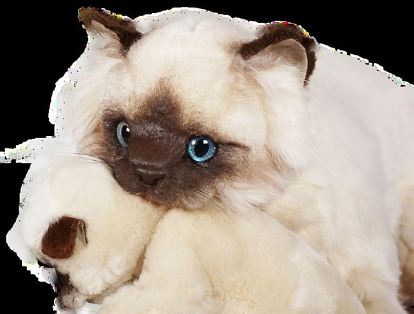 Piutre Colourpoint Katze m. Jungetier stehend Plüsh 2359 | Plüsch- und ...